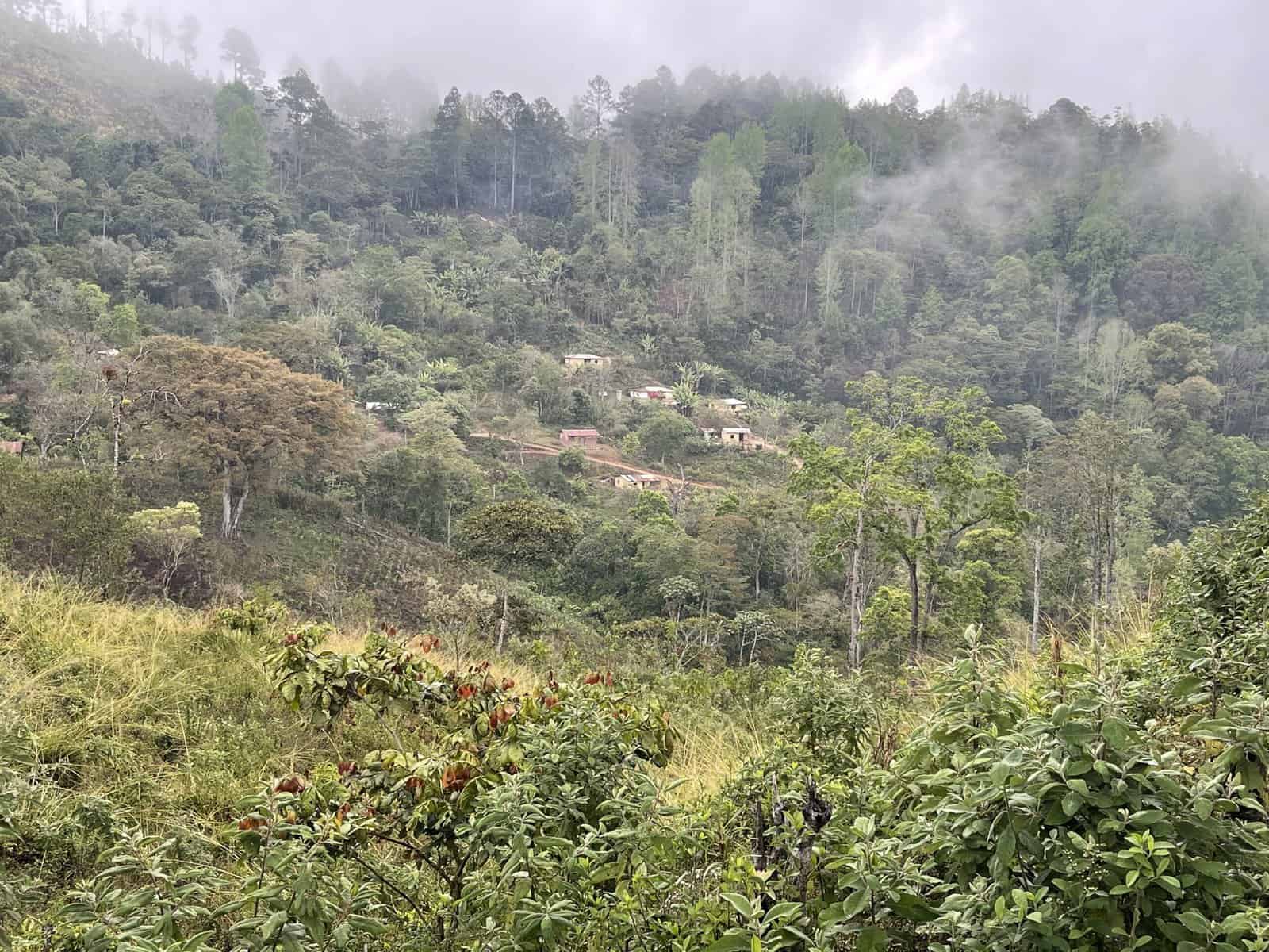 Tolupan - Amazing return to the indigenous ethnic group in Honduras ...